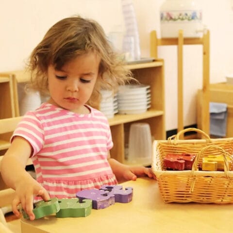 Welcome - Estrellitas DC | Montessori School
